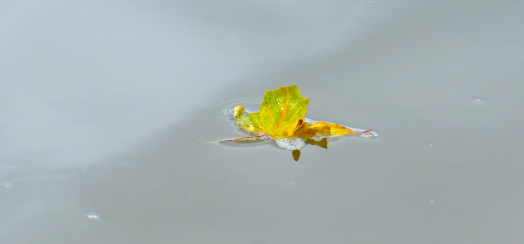 Sarah Cameron Sunde | Environmental and Time-based Artist and Director