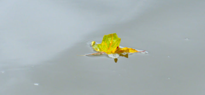 Sarah Cameron Sunde | Environmental and Time-based Artist and Director